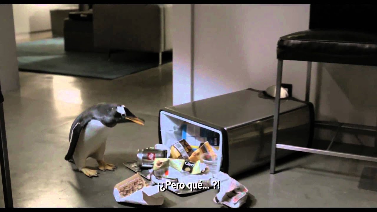 Los Pingüinos de Papá (Mr. Popper's Penguins) HD - YouTube