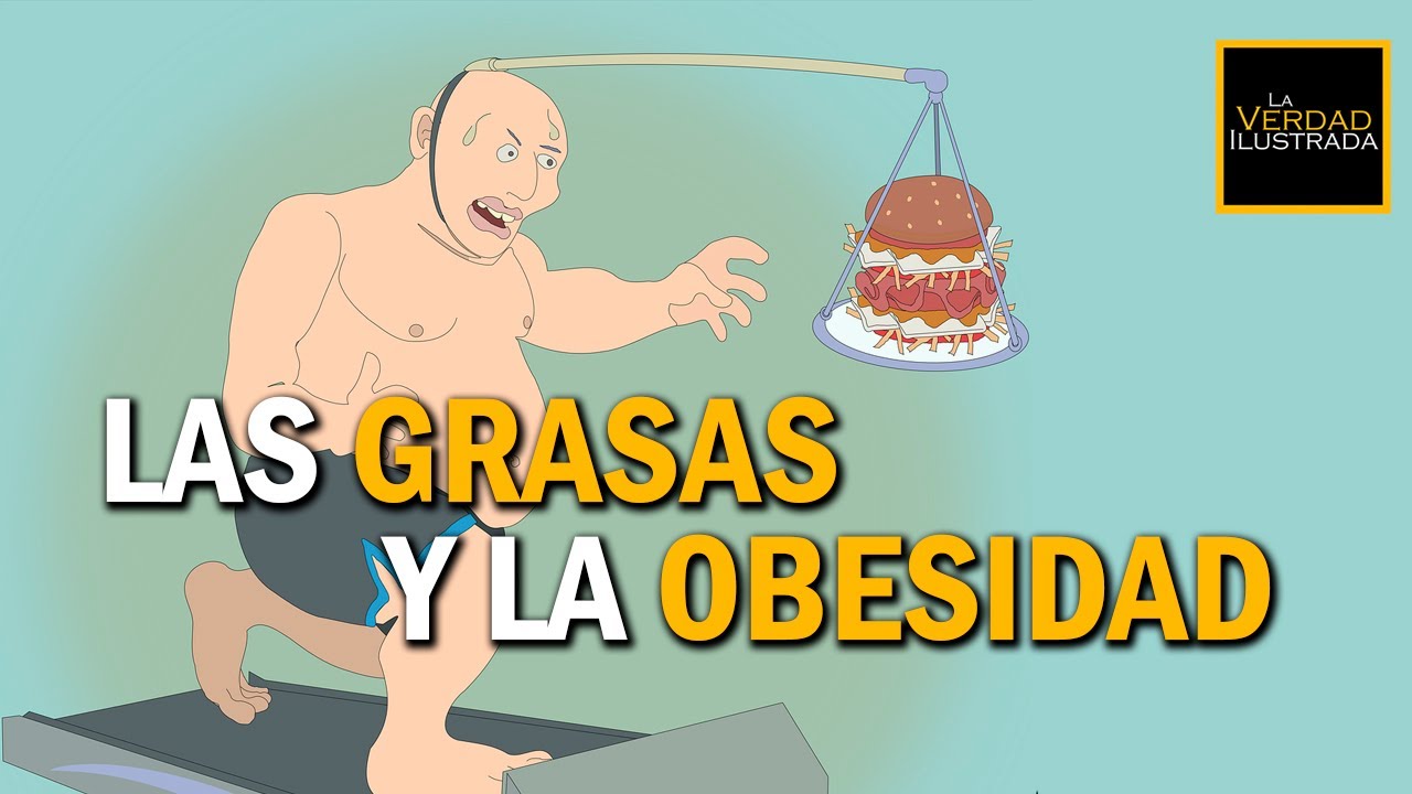 🎯🙏 EN UN MINUTO Lo que no sabías sobre las grasas y la obesidad - YouTube