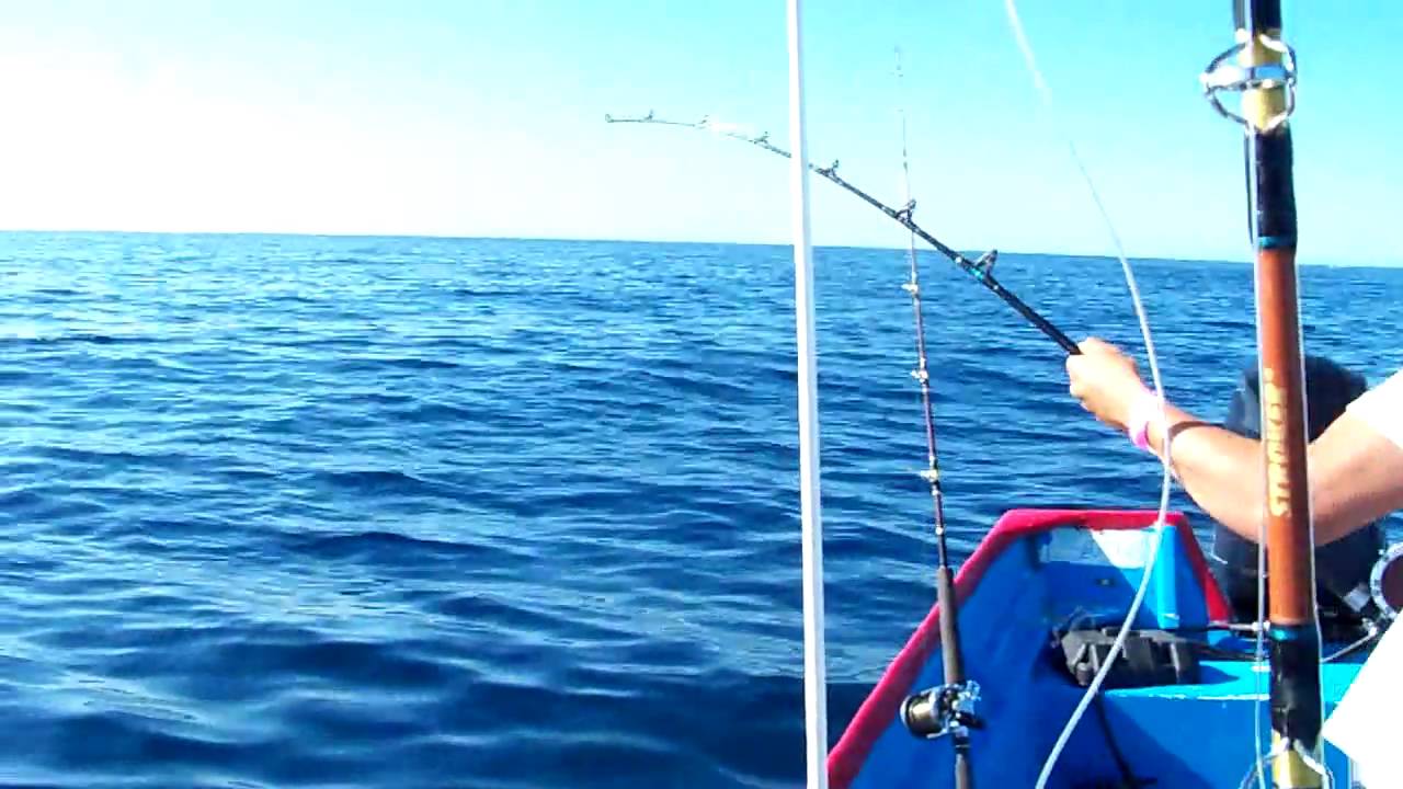 fishing in the sea of cortez de pesca en el mar de cortes mexico - YouTube
