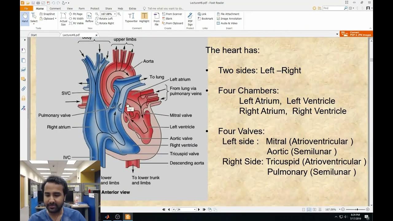 Module 9 | Cardiovascular System Case Study - YouTube