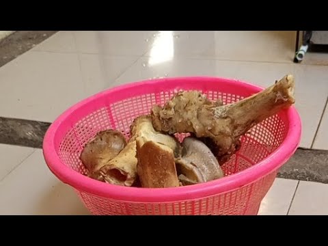 Neteli balung sapi gaes 😅 - YouTube