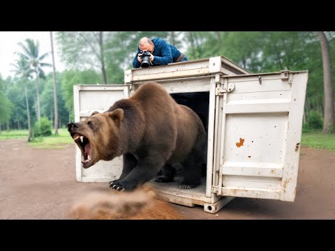 Watch These Animals Being Freed For The First Time!