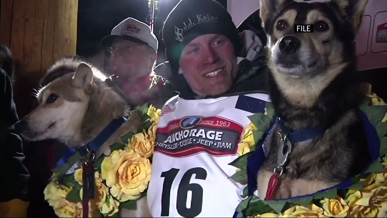 Former Iditarod Champion Denies Doping Dogs - YouTube