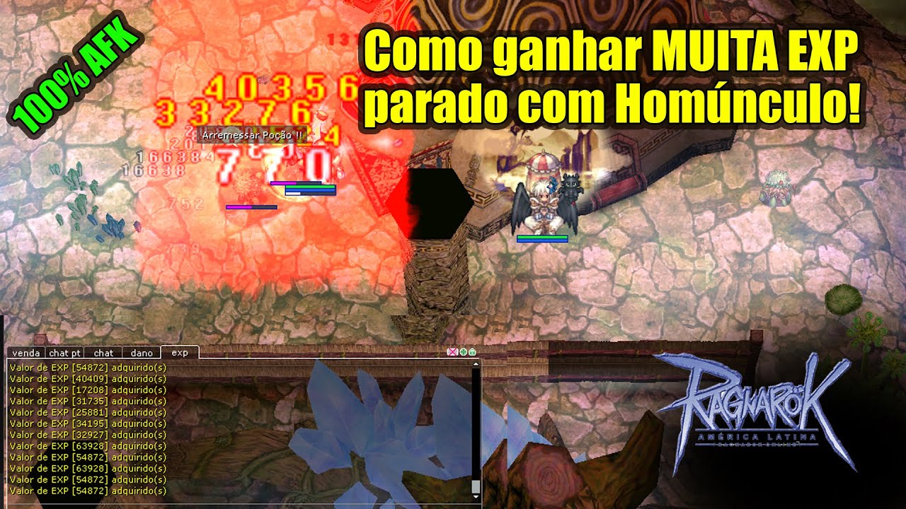 💤 UPE SEM JOGAR! Como ganhar EXP parado com Homúnculo | Ragnarok Online ...