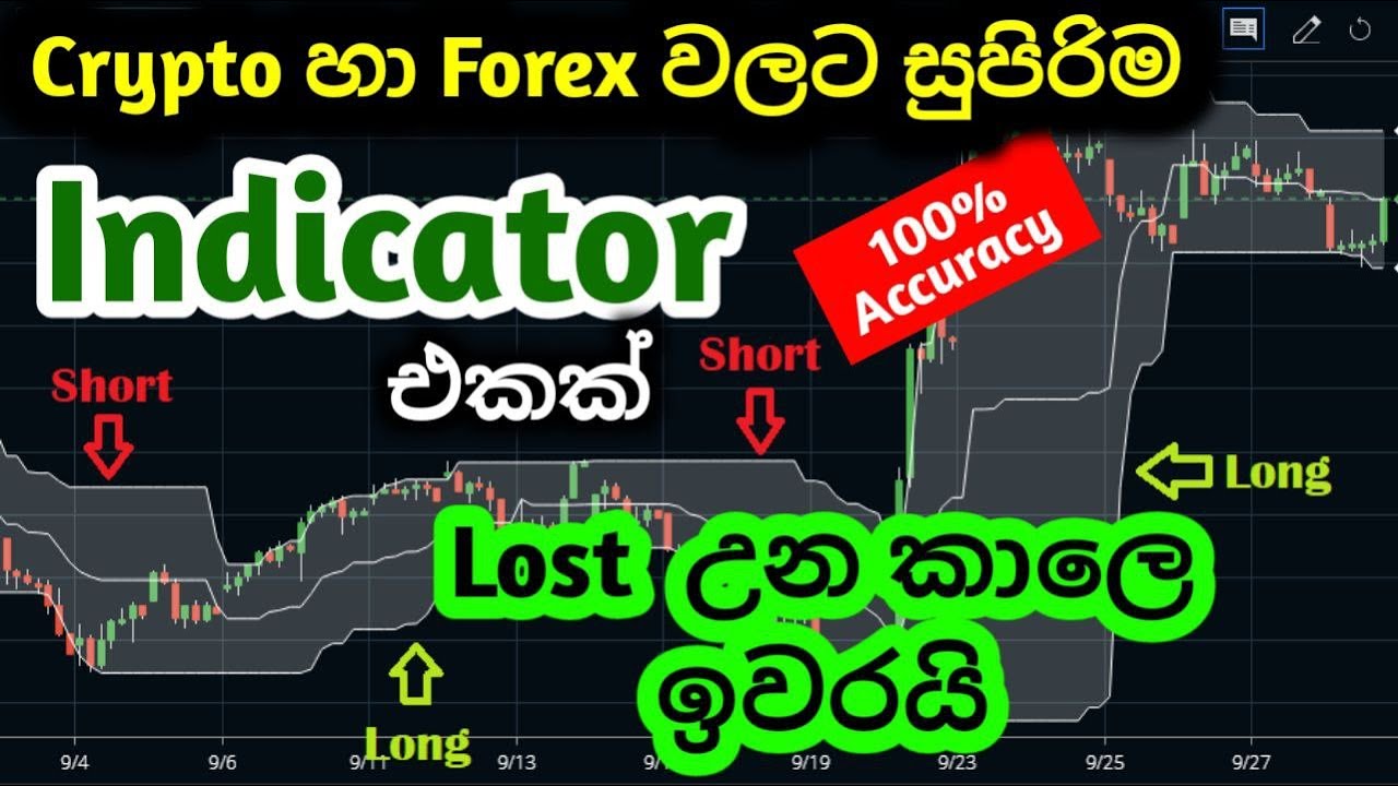 Unbelievable 100% Accurate Indicator For Successful Crypto And Forex Trading - Never Lose Again ...