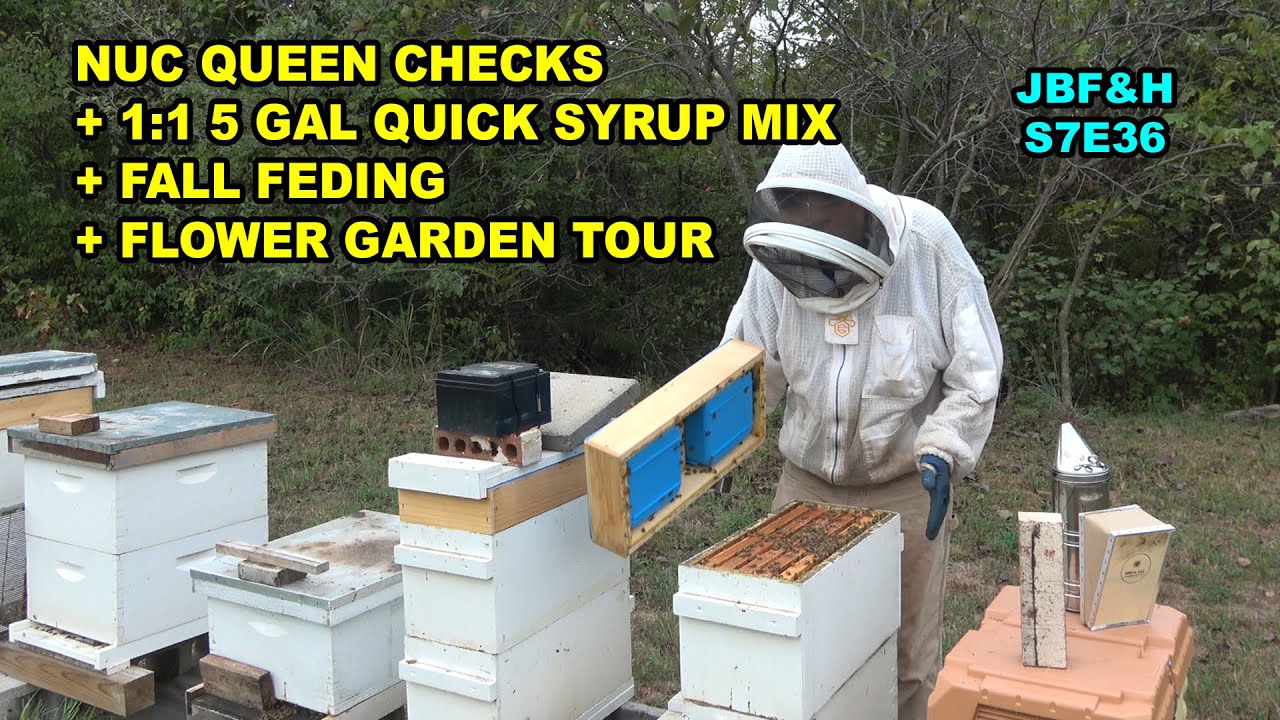 Mixing 1:1 Syrup and Follow Up on Nuc 37 S7E36 #beekeeping - YouTube