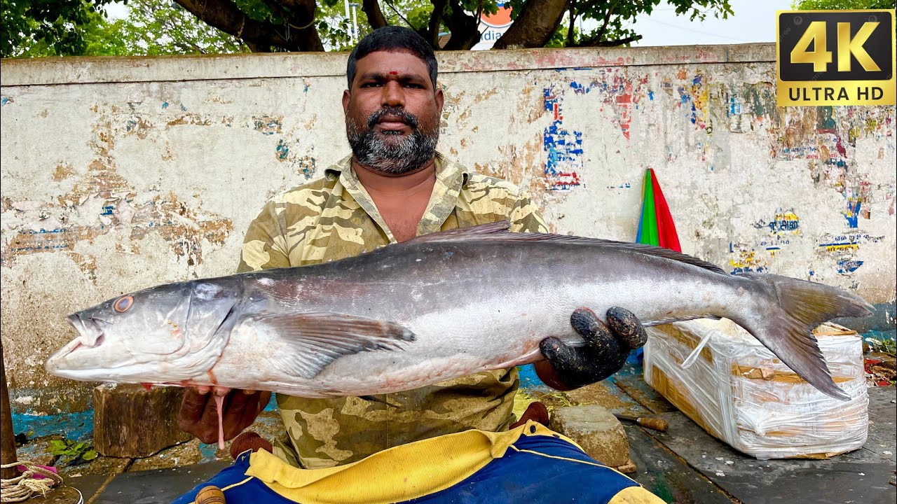 Kadora fish cutting video/fishcuttingrs#fishcuttingrs #kasimedu #fish ...