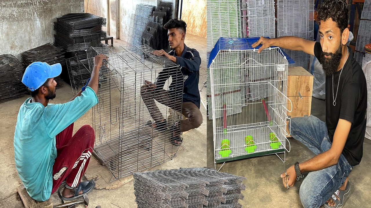 The Perfect Bird Cage: Interesting Traditional Art of Birds Friendly ...