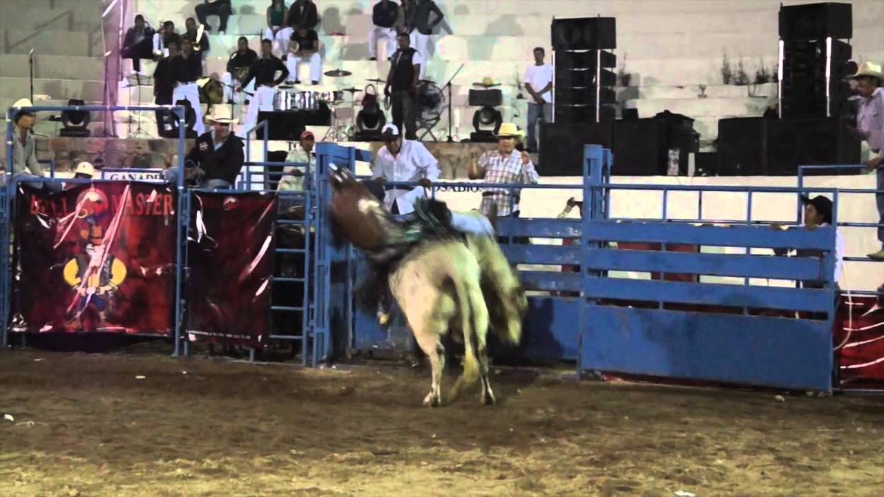 Rodeo Bull Master vs Copa Tecate - YouTube