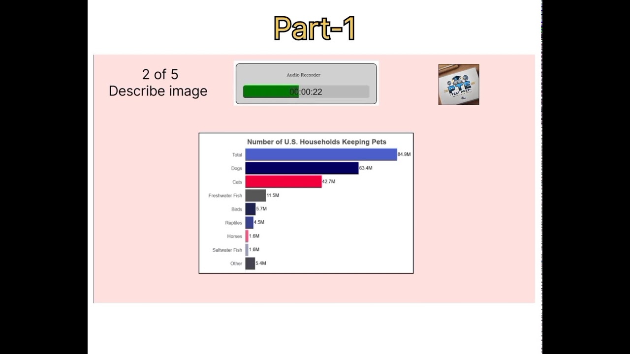 Live PTE Practice | Describe Image | Real Exam Samples & Tips ...