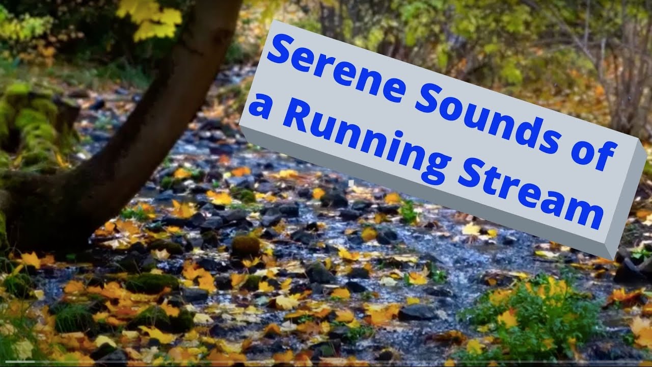 Serene Sounds of a Running Stream - YouTube