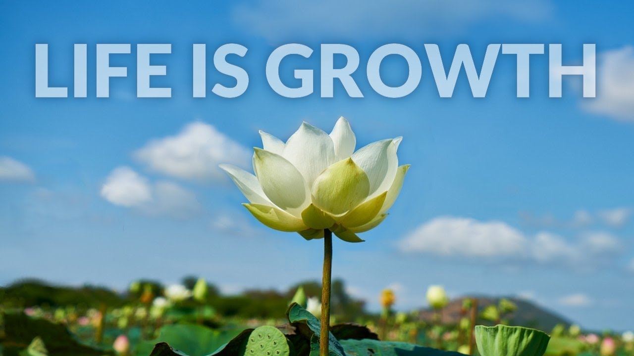 Life is Growth - YouTube