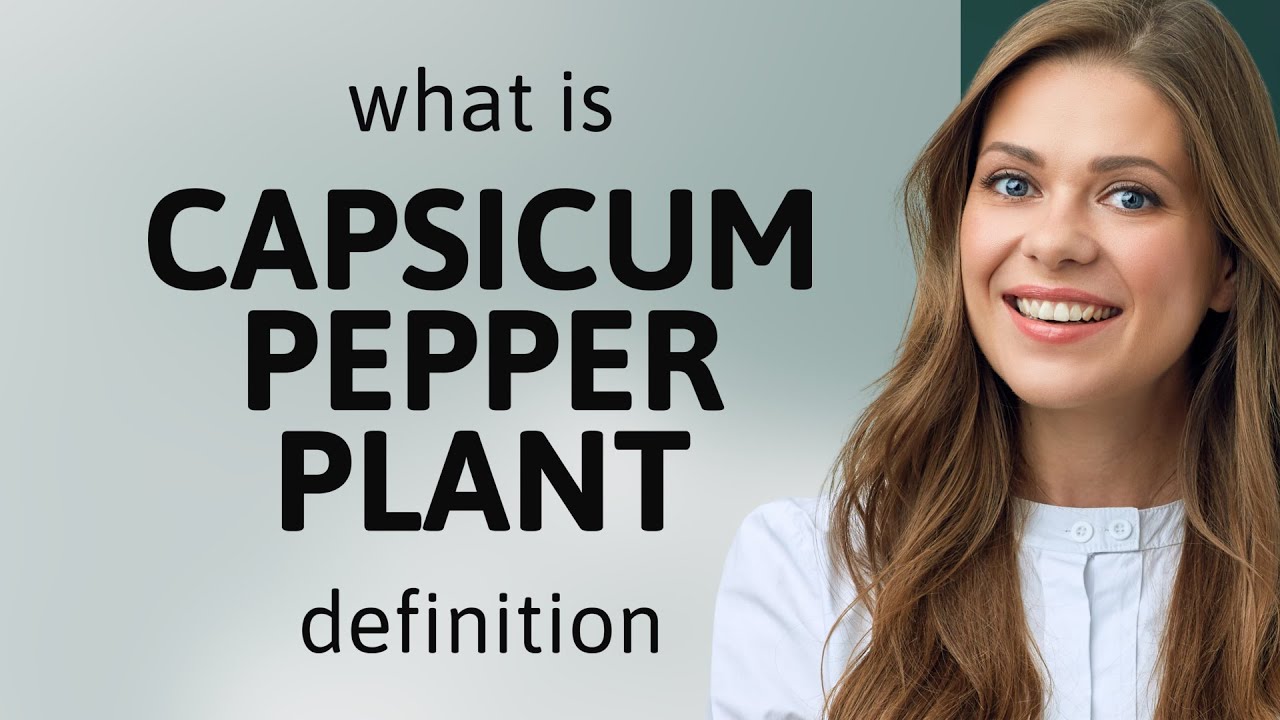 Capsicum pepper plant • what is CAPSICUM PEPPER PLANT meaning - YouTube