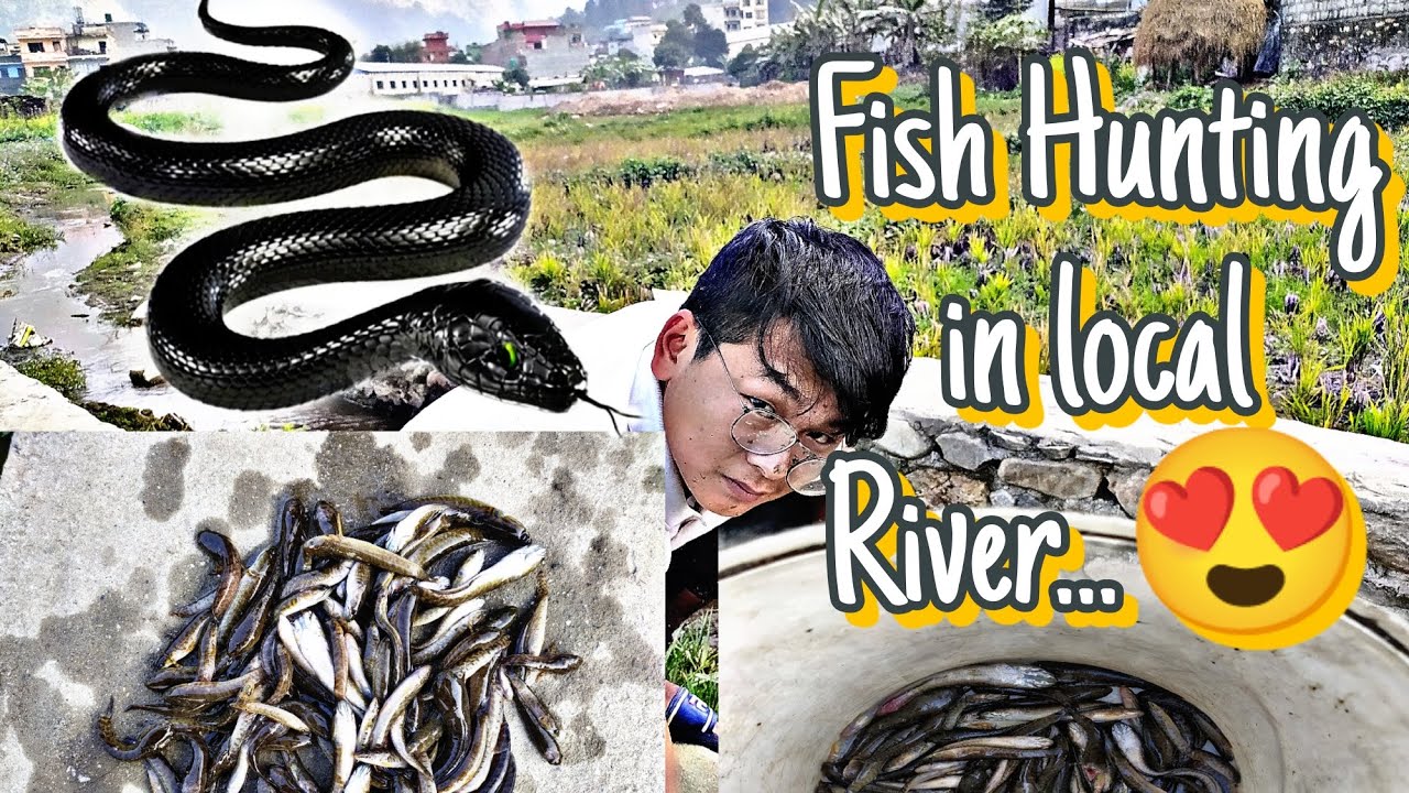 Fish Hunting in local river...#go_viral - YouTube