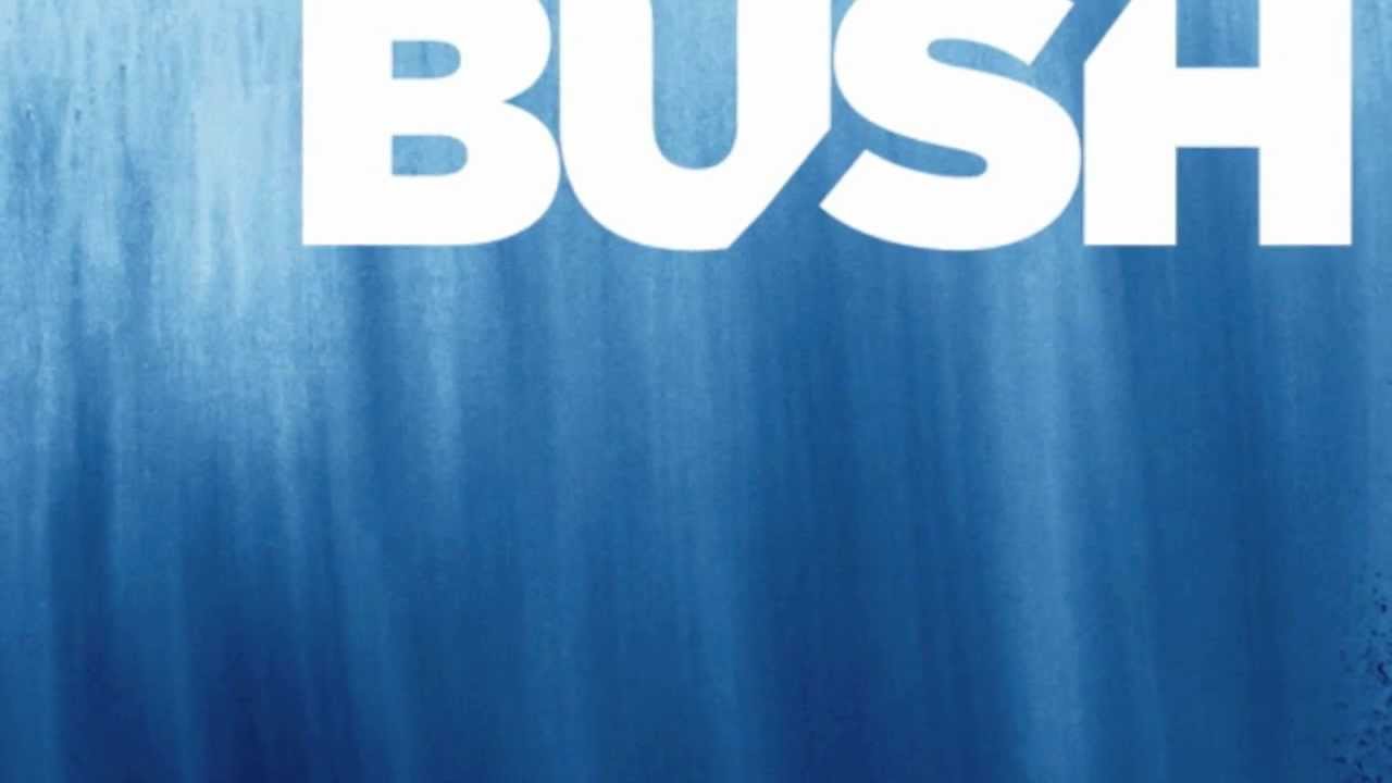 Bush - All Night Doctors - YouTube