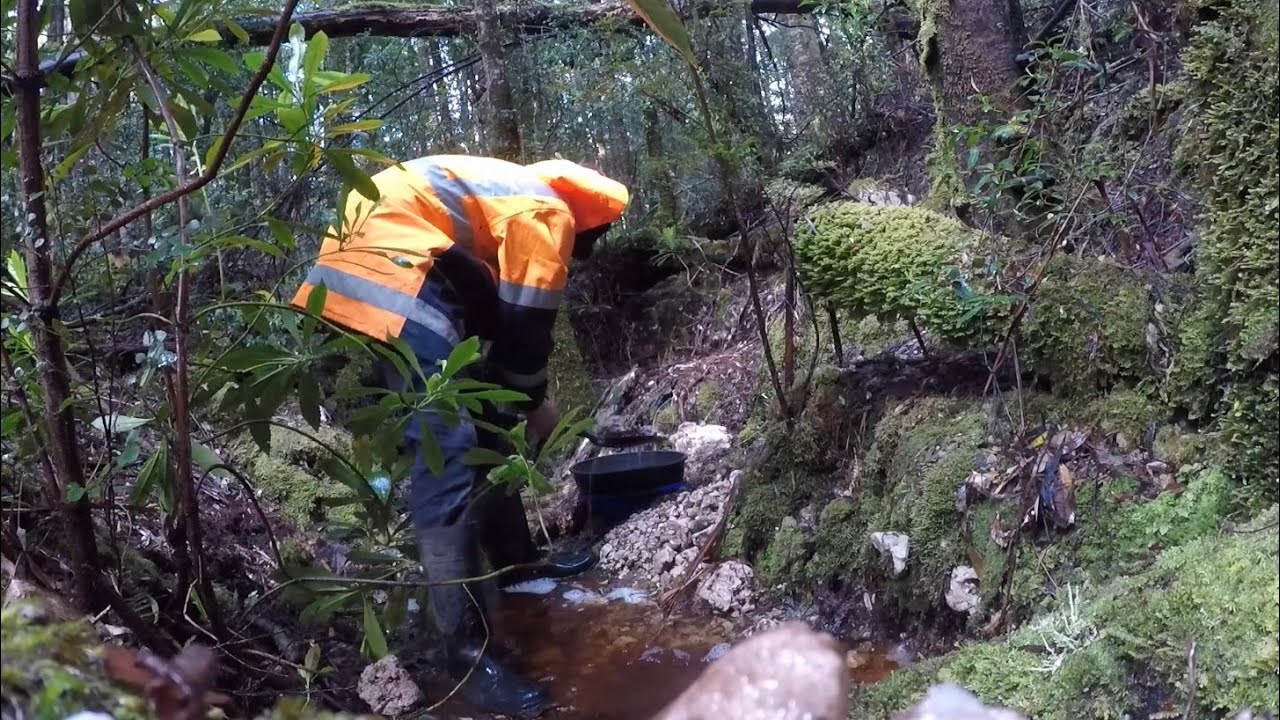 GOLD PROSPECTING TASMANIA - YouTube