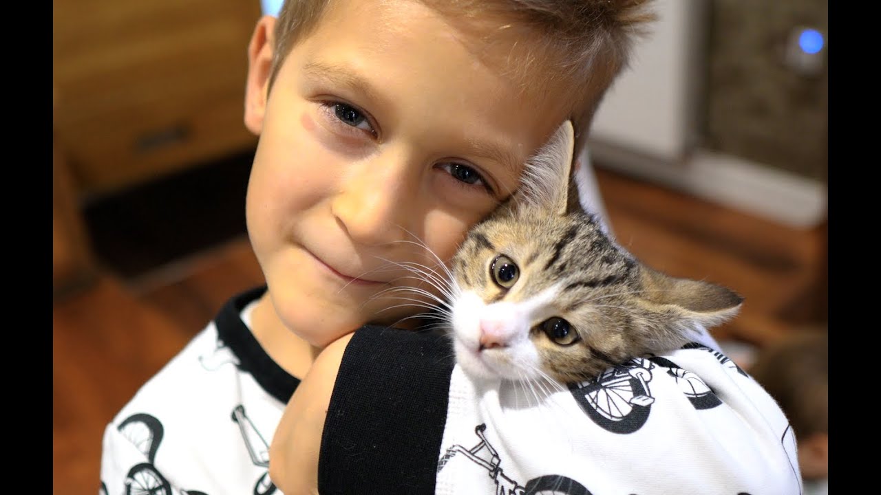 Cute Kitten Surprise For Leo and Matteo - Fun Kids Play With Kitten ...