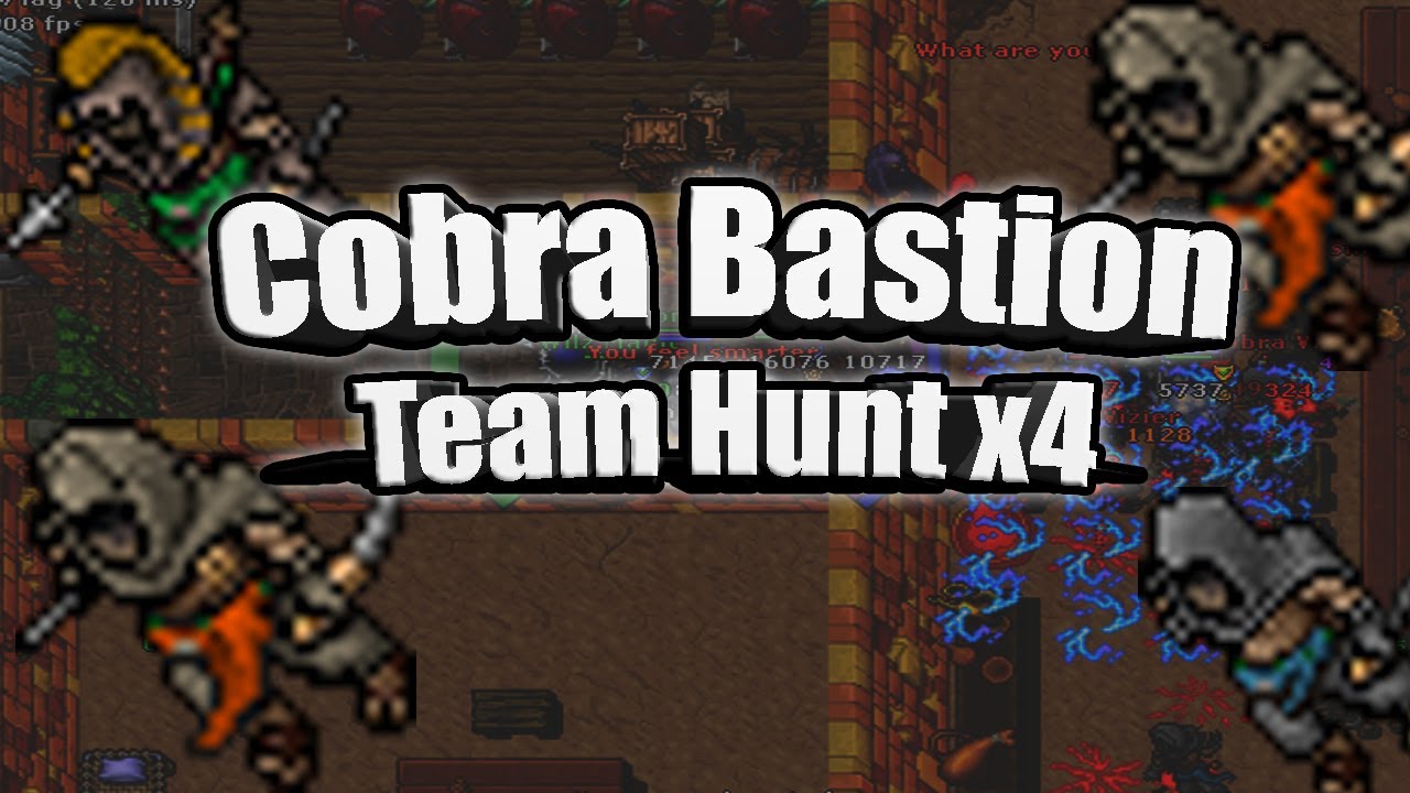 BEST PLACES FOR TEAM HUNT X4 COBRA BASTION // TIBIA - YouTube