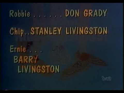 My Three Sons Open/Close (1969)/ Viacom Enterprises "V" (1978) #8 - YouTube