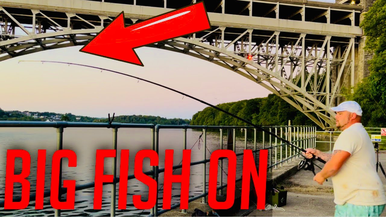 BIG FISH ON! Menai Straights Sea Fishing - YouTube