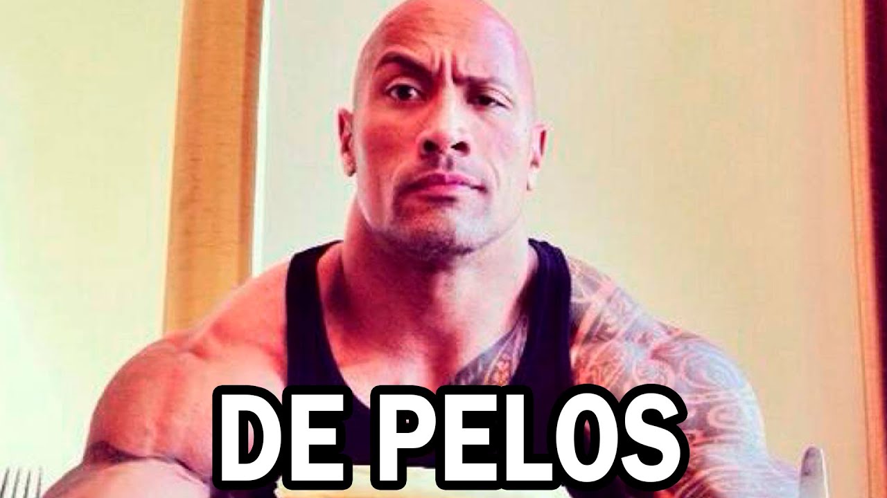 Shitposting Compilation V65 | Shitpost Español - YouTube