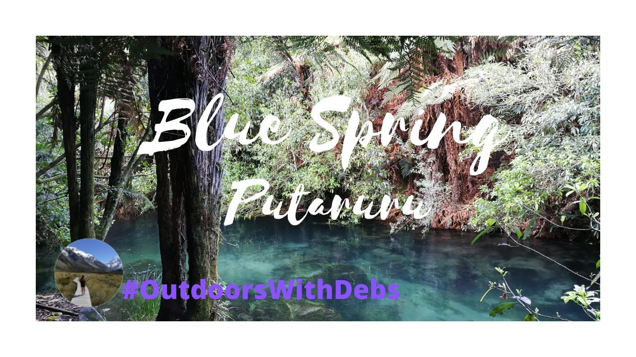 Blue Spring Putaruru - Waikato, New Zealand - YouTube