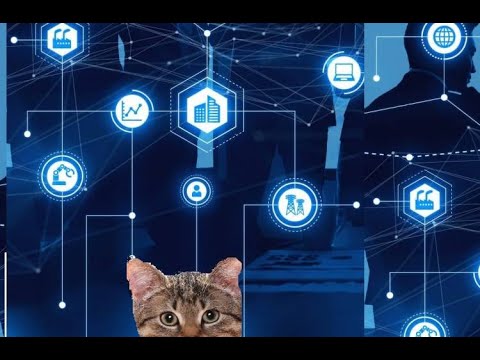 Application of IoT(Internet of Things) Technologies to Animals - #iot # ...