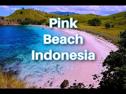 Exploring the Pink Beach Indonesia