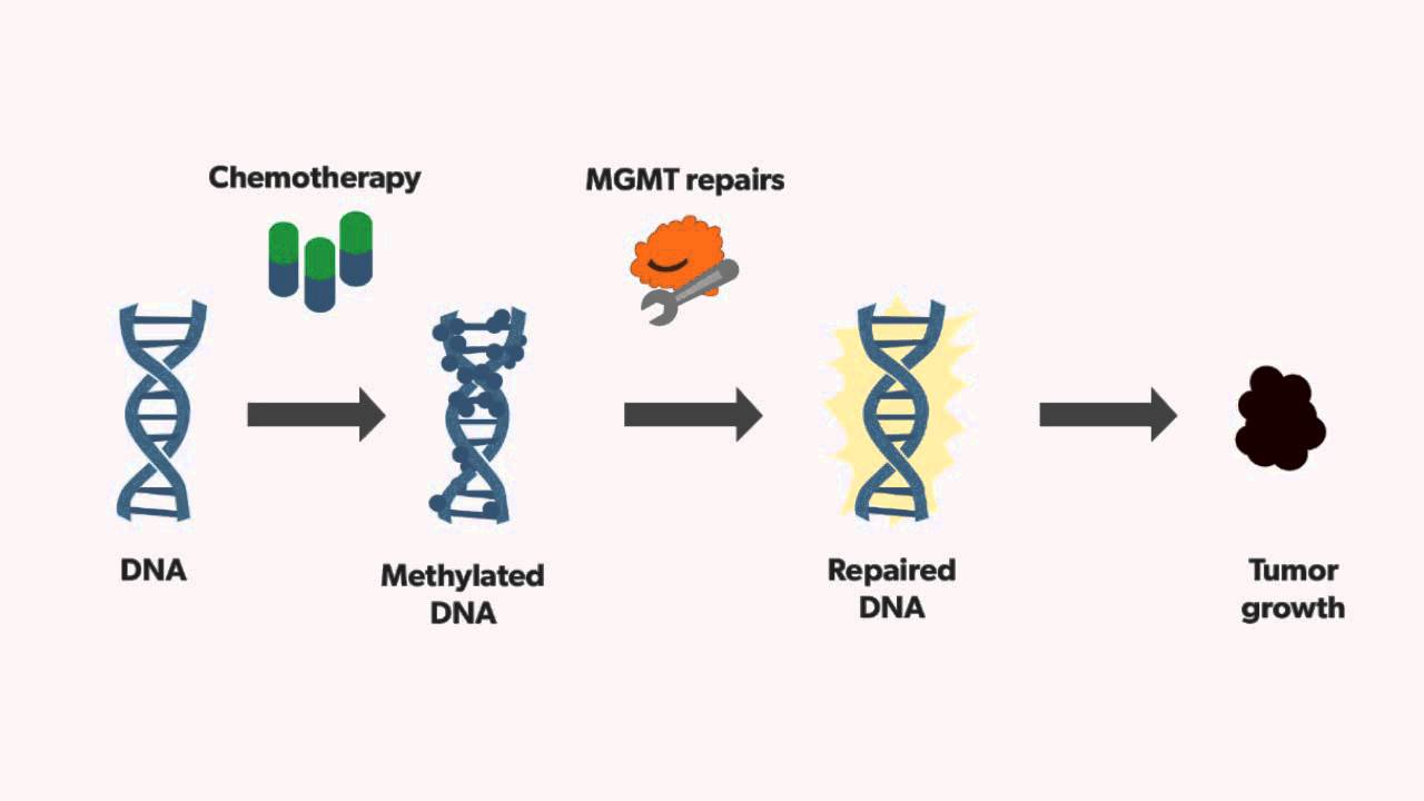 What causes chemotherapy resistance? - YouTube