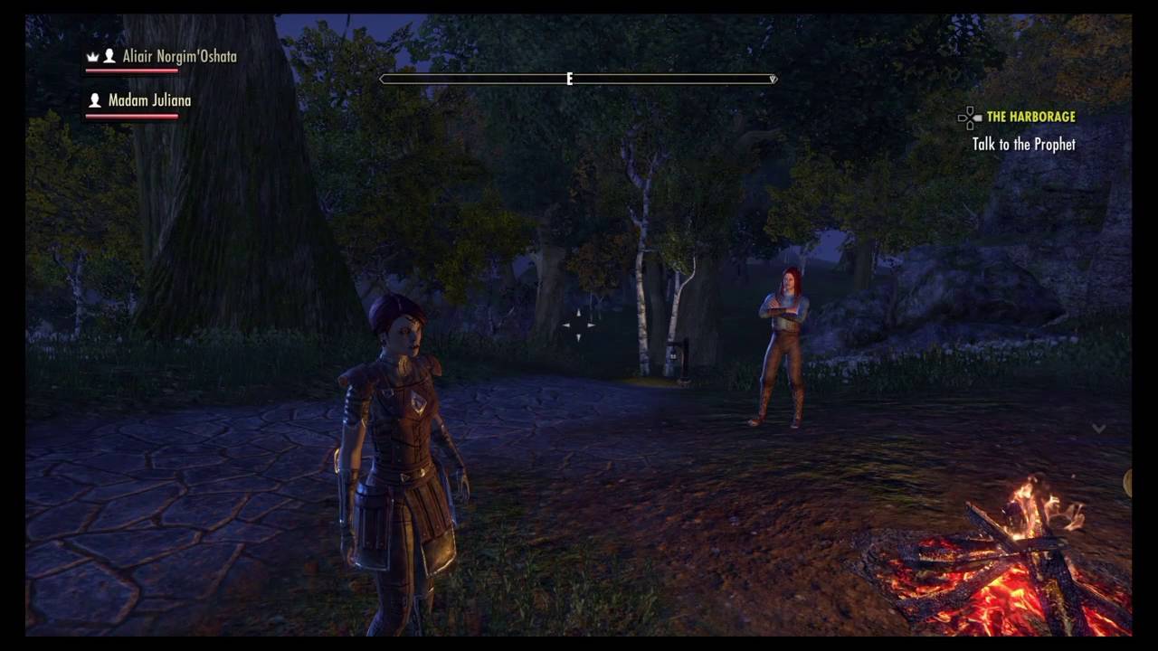 The Wonders of Voice chat RP. Ep. 1: How to get comfortable. [Eso rp ...