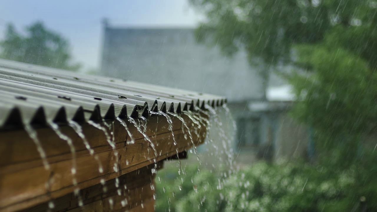 it's finally raining again by Elijah who but it's finally raining again ...