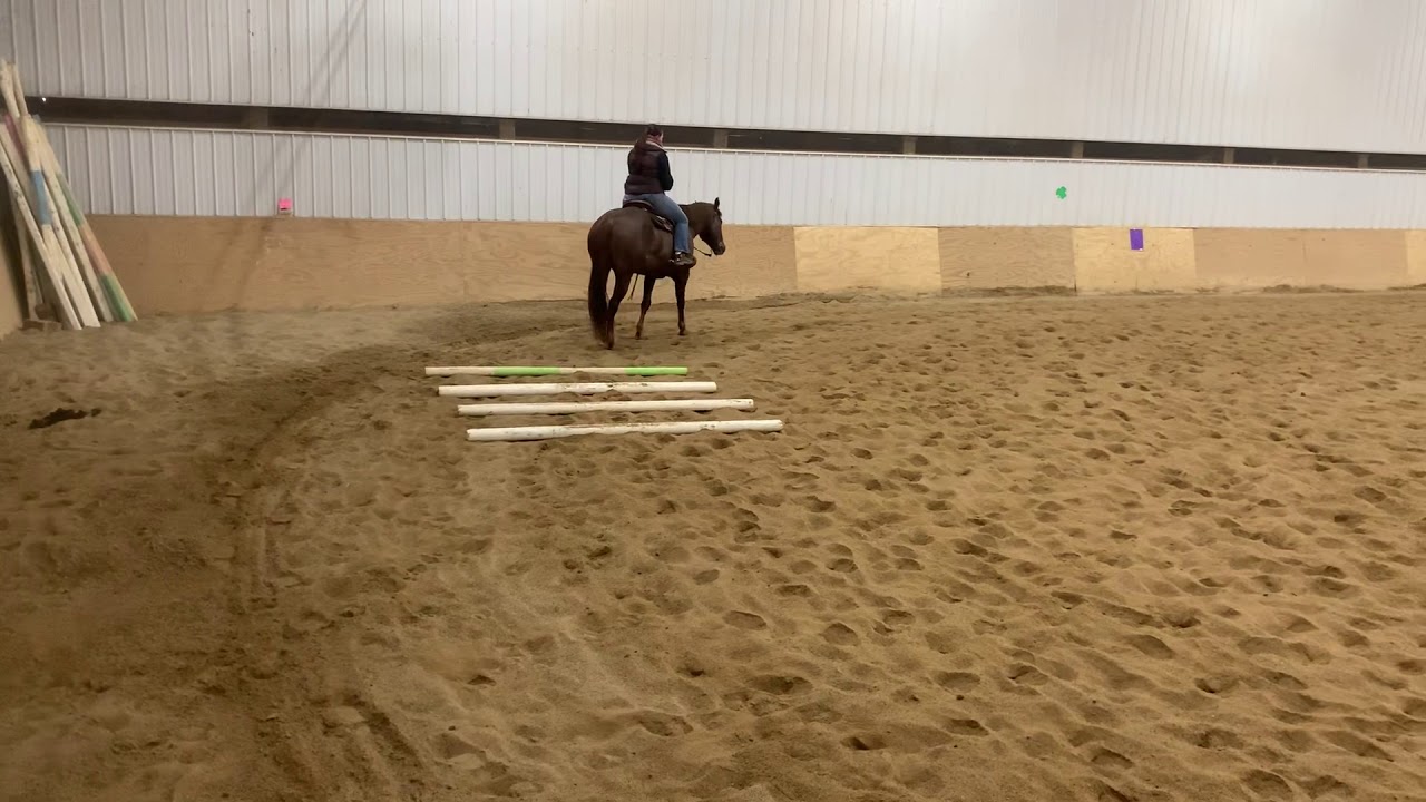 Marle Novatnik w/ Spicy Assets-Sr Novice Ranch Horse - YouTube