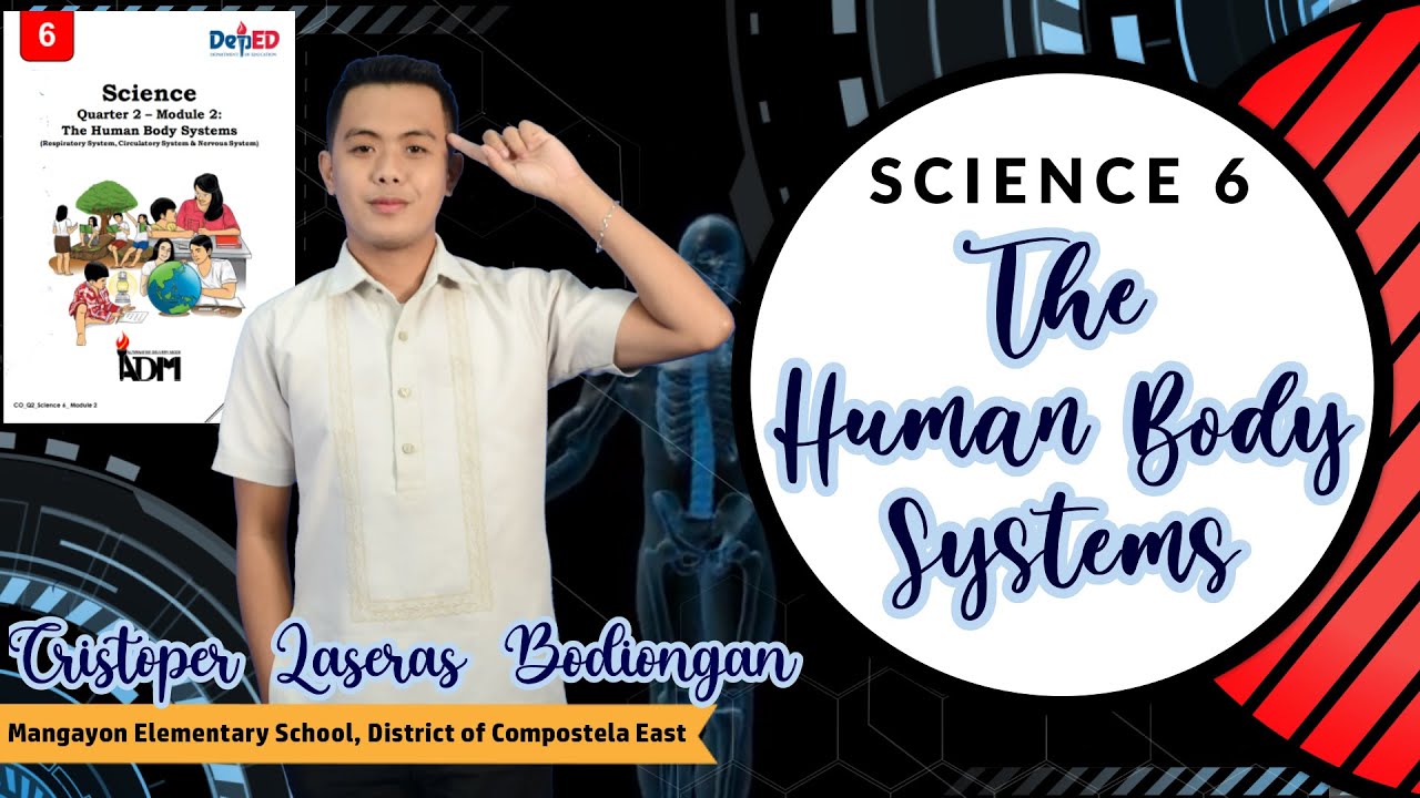 SCIENCE 6 (Quarter 2-Module 2): The Human Body Systems - YouTube