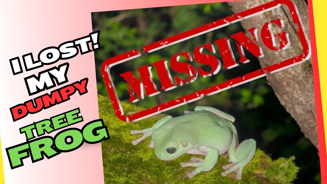 The Great Frog Escape!! 🐸 - YouTube