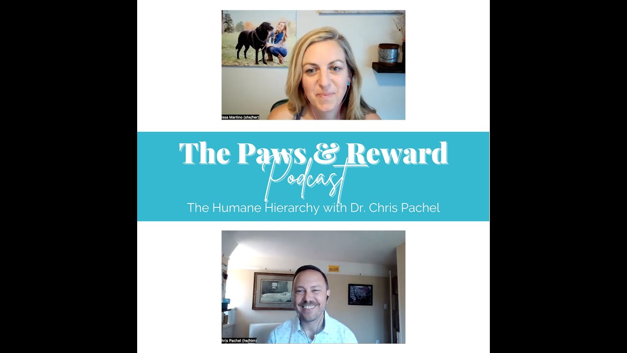 Ep 47 The Humane Hierarchy with Dr. Chris Pachel | Paws & Reward ...