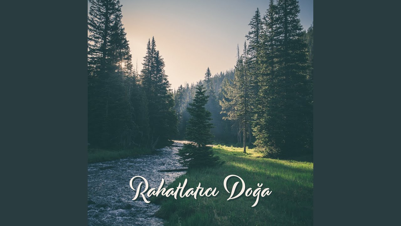 Sakin Ol - YouTube Music