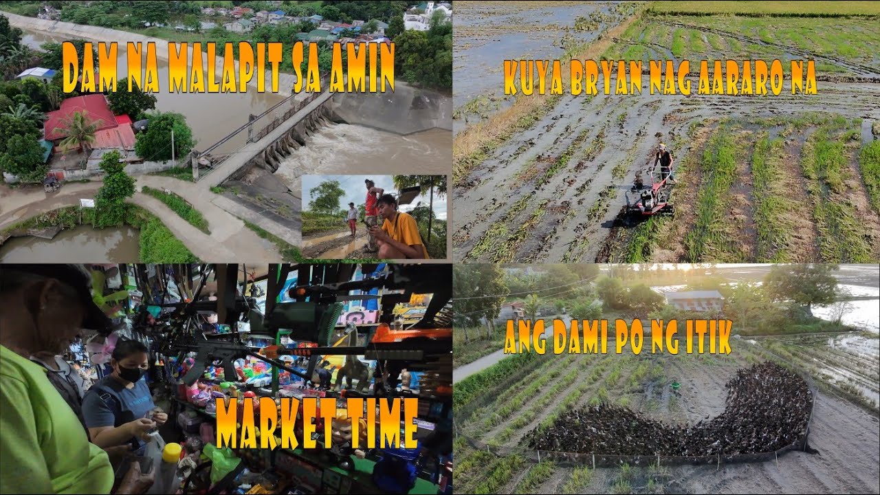 May Dam po malapit sa amin | Napaka Dami po Itik | Kuya Bryan nag ...