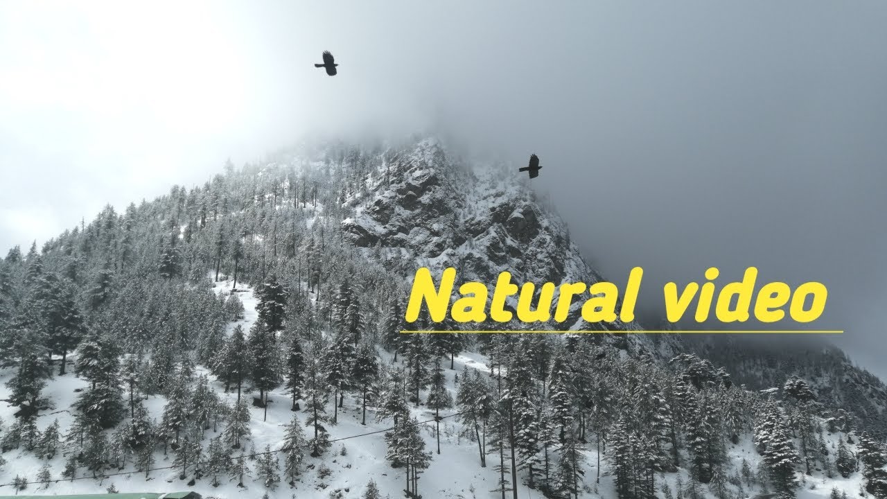 Natural video - YouTube