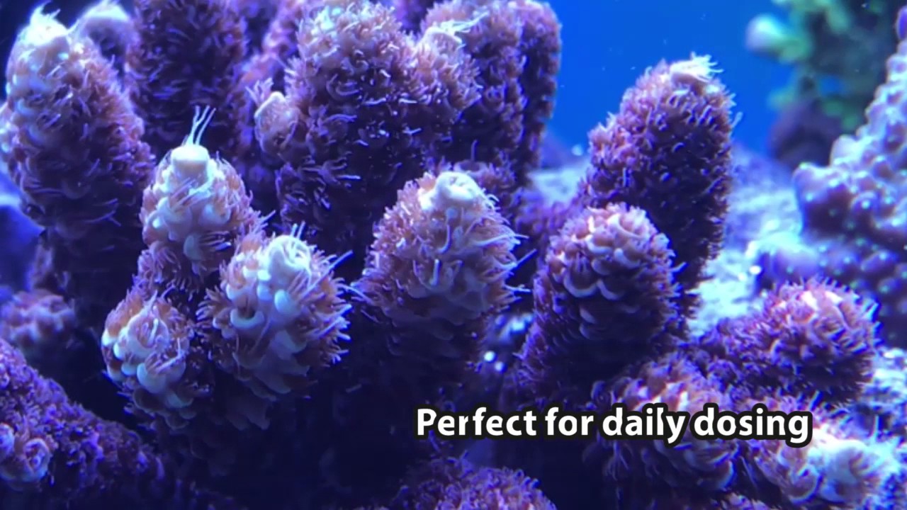 easybooster for feeding reef aquariums - YouTube