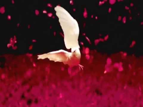 Birini Sadece Seversin ( 2013 )