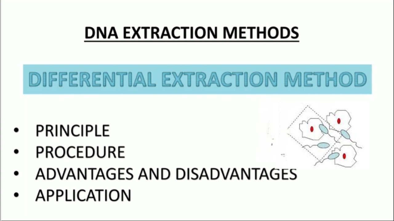 Differential Extraction Method|| DNA Extraction Methods|| - YouTube