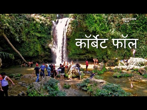 Corbett Waterfall, Nainital, Uttarakhand - YouTube