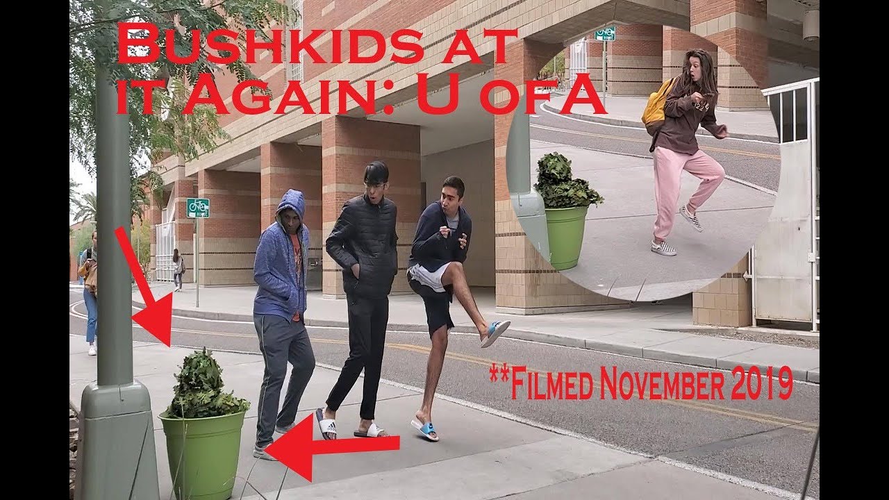 Bushkids at it again! Back to the U of A. - YouTube