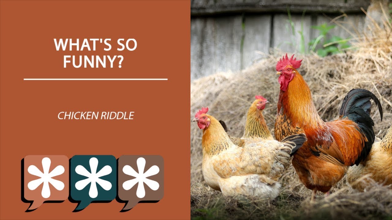 What's So Funny? – Chicken Riddle - YouTube