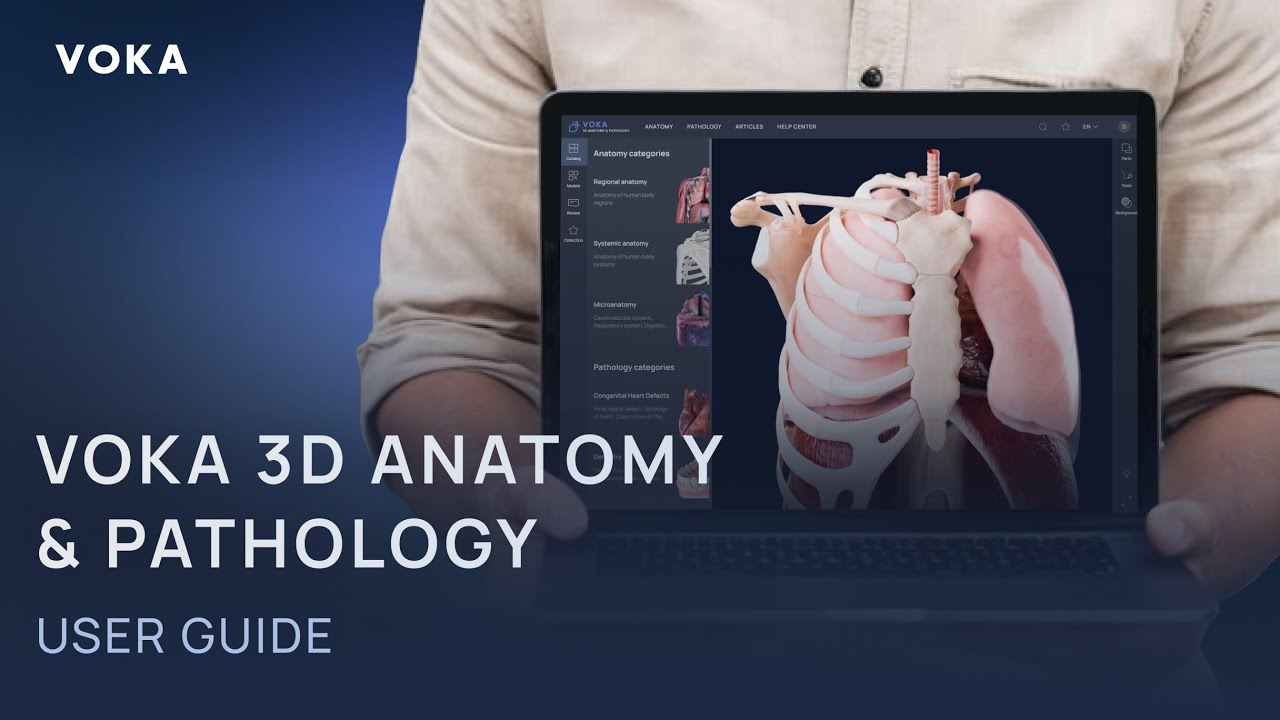VOKA 3D Anatomy & Pathology User Guide | Improve the way you study ...