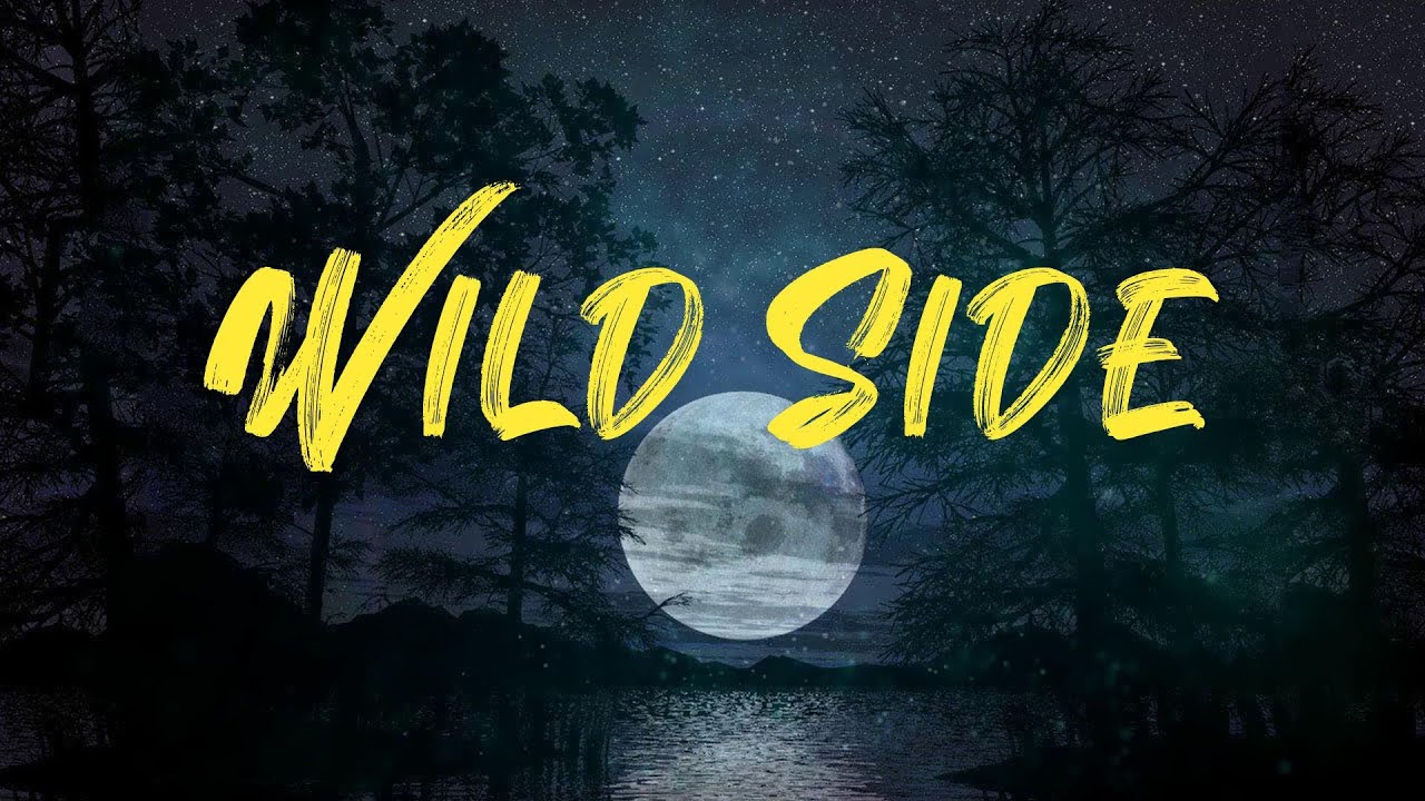 Wild Side (Lyrics) - YouTube