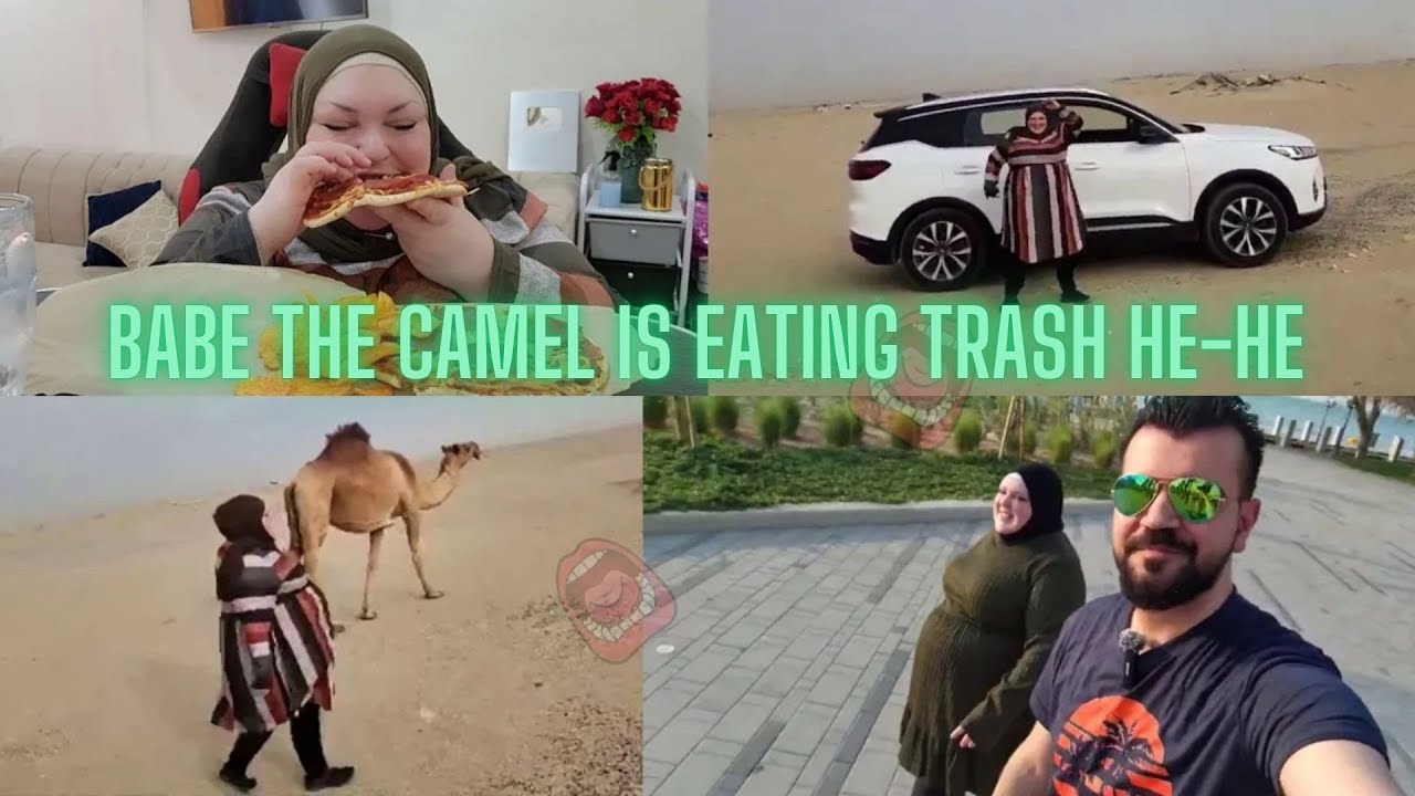 Foodie Beauty Went To See The Camels Made Weird Pizza & Almost Passed ...