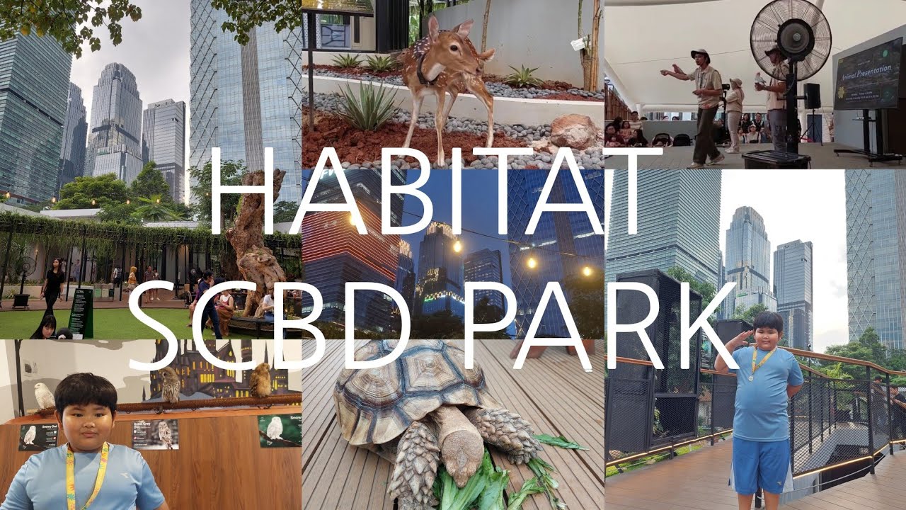 🦚HABITAT SCBD PARK🐢Mini Zoo di tengah SCBD Jakarta🦩 - YouTube