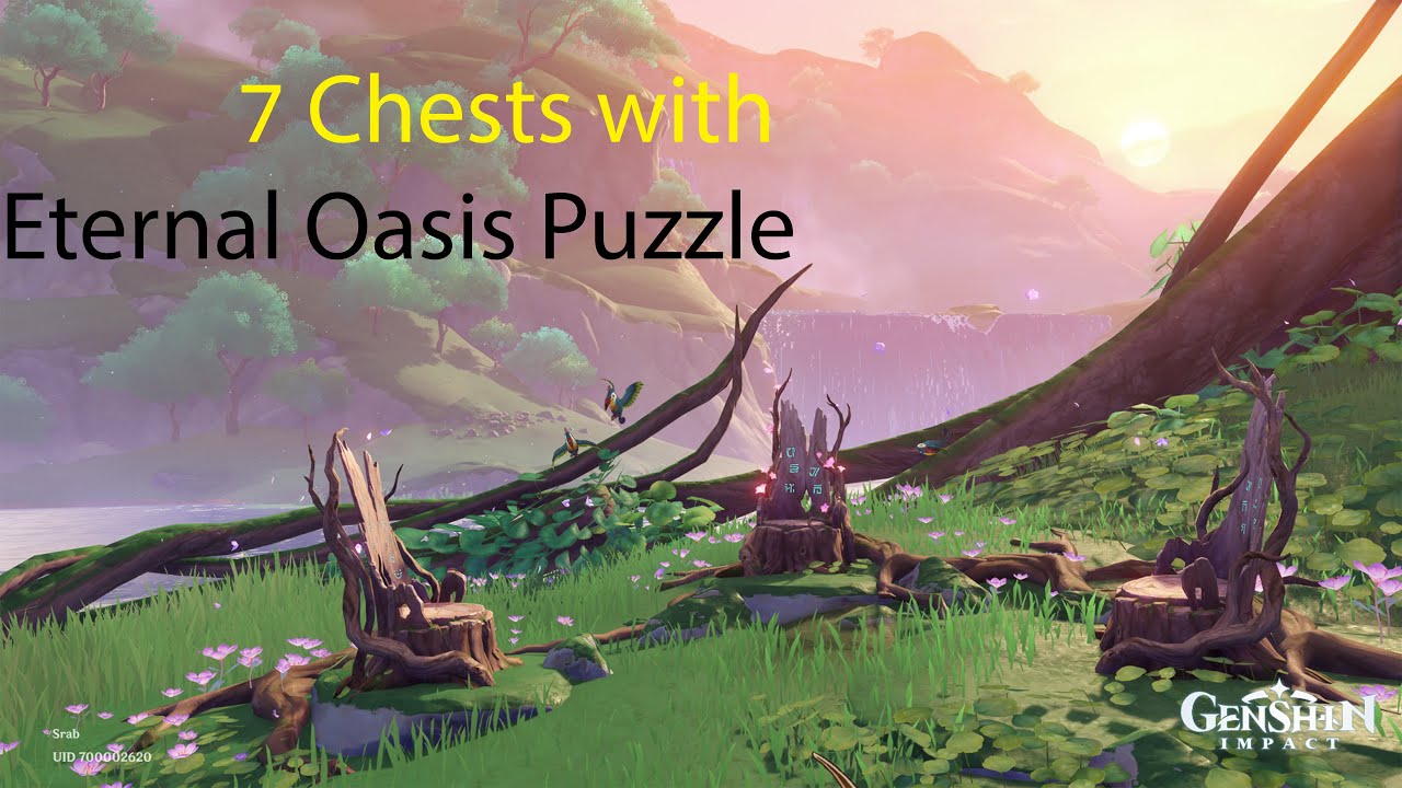 all 7 Chests with Eternal Oasis Puzzle | World Quests & Puzzles ...