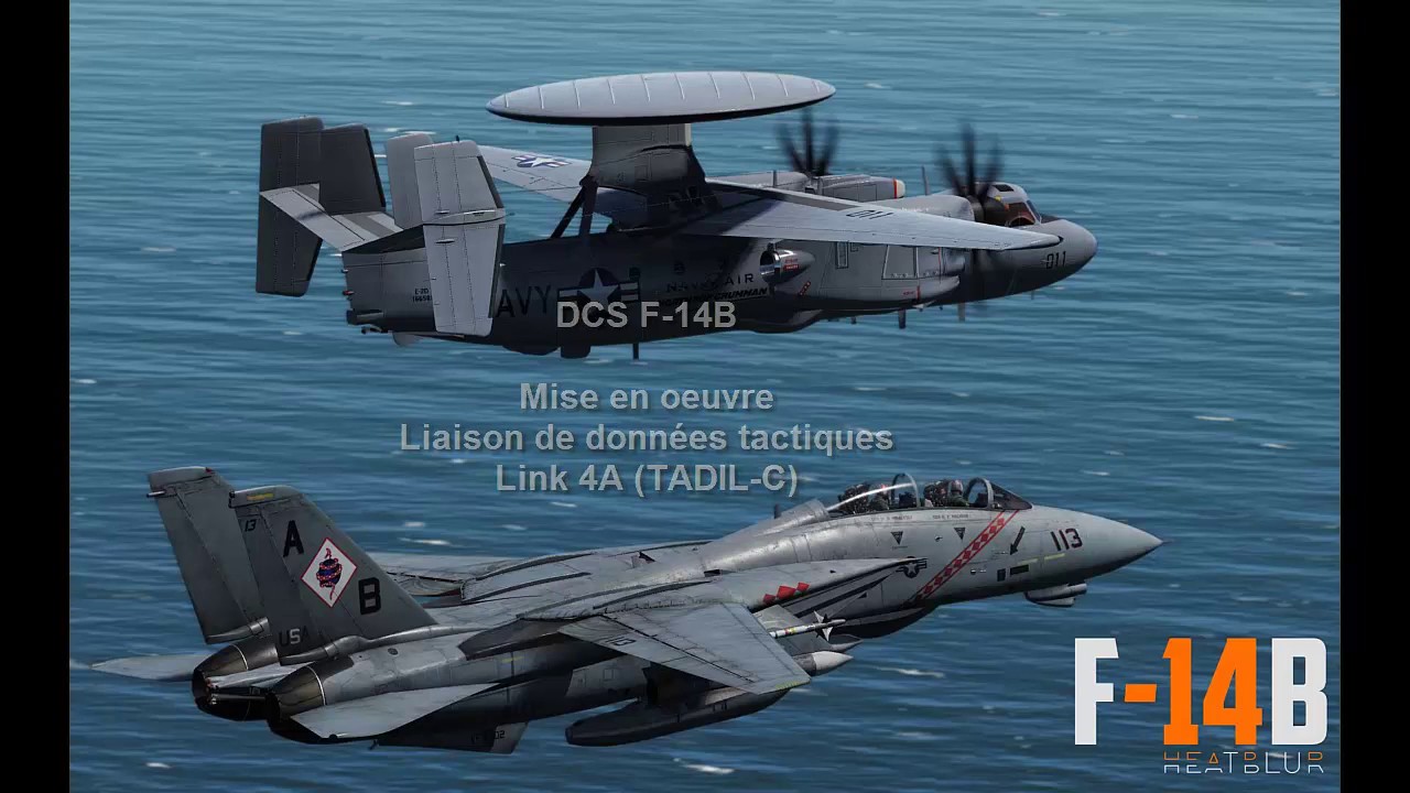 DCS F14 - Mise en oeuvre Link 4A (RIO) - YouTube